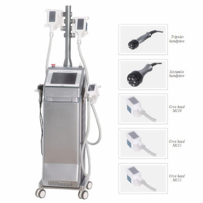 10 Inch Touch Screen 7 Photon Lights Vacuum RF Cryolipolysis Slimming Machine supplier