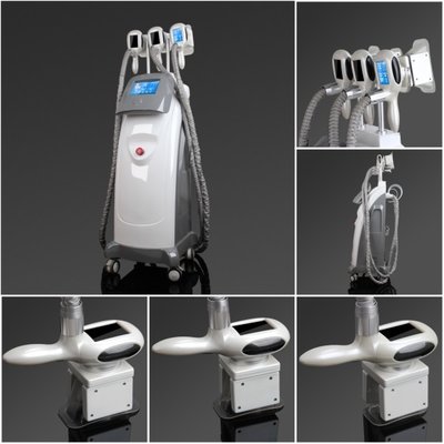 Cryo Fat Freezing Cryolipolysis Vacuum Slimming Machine For Belly , Arm , Leg Fat Removal supplier