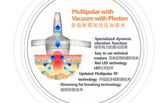 Vertical PDT RF Ultrasonic Cavitation Weight Reduction Machine For Salon / Spa supplier