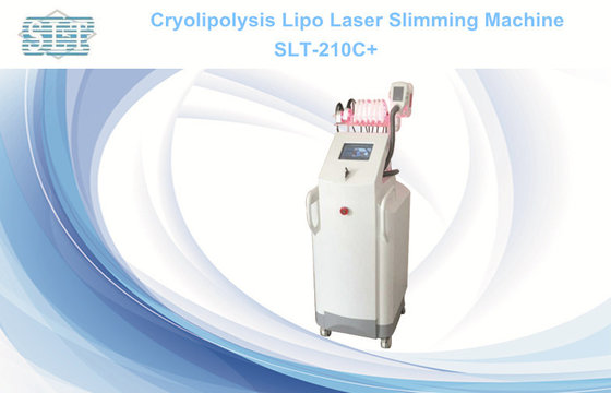 Fat Freezing Lipo Laser Slimming Machine  supplier
