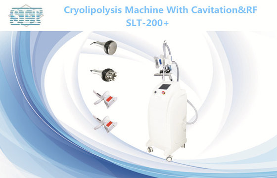 Body Slimming Multifunction Beauty Equipment With Cryolipolysis Cavitation RF supplier