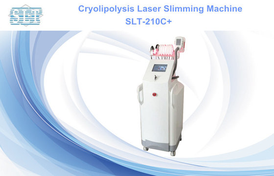 Zeltiq Coolsculpting Lipo Laser Slimming Machine , 8 Inch LCD Cryolipolysis Equipment supplier