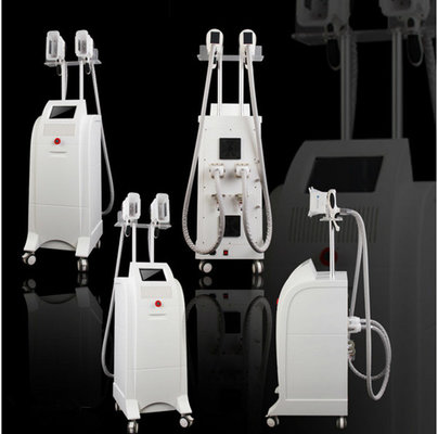 Pro Spa Fat Removal Cryolipolysis Slimming Machine For Belly Body Shaping / Fat Loss supplier