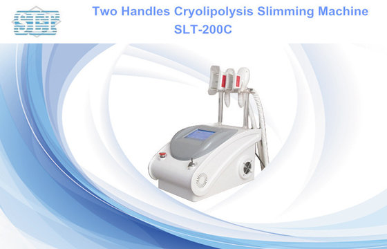 Multifunction Fat Removal Zeltiq Coolsculpting Machine Cryotherapy , 8 Inch LCD supplier
