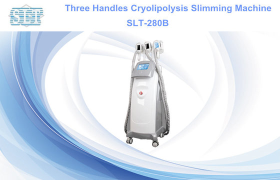 Fat Freezing Cryolipolysis Slimming Machine , Belly Fat Reduction Equipment supplier