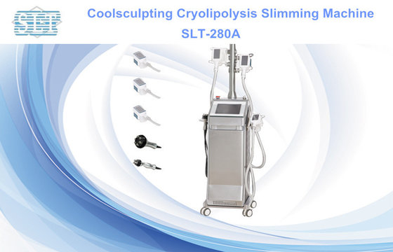10 Inch Touch Screen 7 Photon Lights Vacuum RF Cryolipolysis Slimming Machine supplier