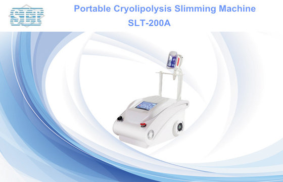 Portable 650nm Diode Lipo Laser Cryolipolysis Slimming Machine For Belly Fat Removal supplier