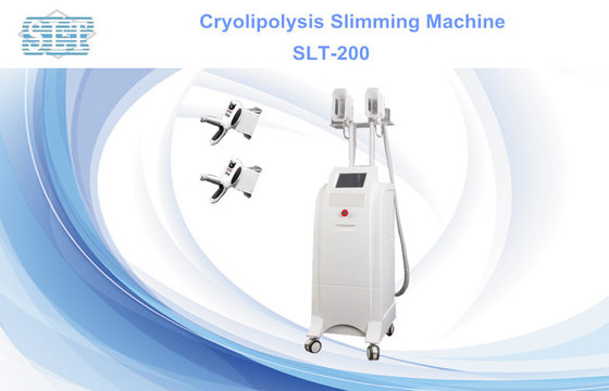 Pro Spa Fat Removal Cryolipolysis Slimming Machine For Belly Body Shaping / Fat Loss supplier