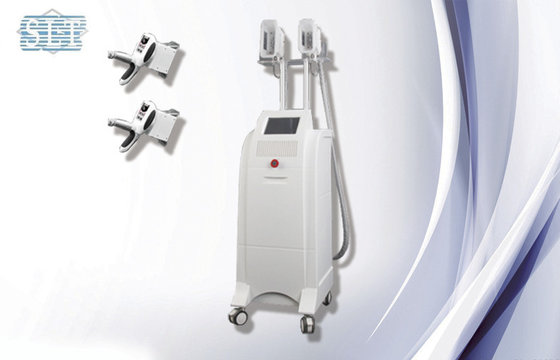 Coolshape Cryolipolysis Slimming Equipment / Two Fat Freezing Handles Work At Same Time supplier