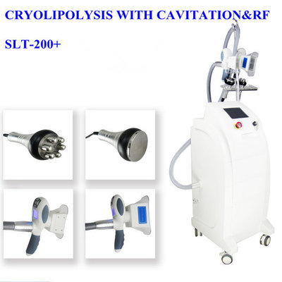 Ultrasonic Cavitation RF Slimming Machine / Coolshape Cryolipolysis Fat Reduction Equipment supplier