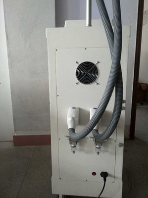 Cool Sculpting Cryolipolysis Fat Removal Machine For Body Contouring / Weight Loss supplier