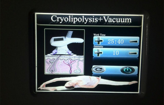 Updated Coolshape Cryolipolysis Slimming Machine For Body Sculpting / Waist Fat Removal supplier