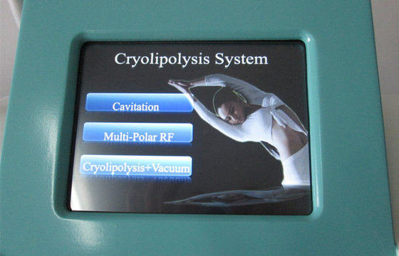 Portable Cryotherapy Cryolipolysis Slimming Machine , Coolsculpting Fat Removal Device supplier