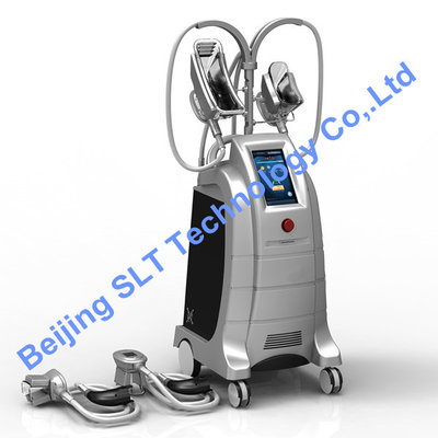 Cool Sculpting Cryotherapy Fat Freezing Machine , Cryolipolysis Slimming Equipment supplier