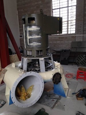 250KW Pelton Wheel Generator Home Water Turbine 1.5 M3/S Flow Stainless Steel