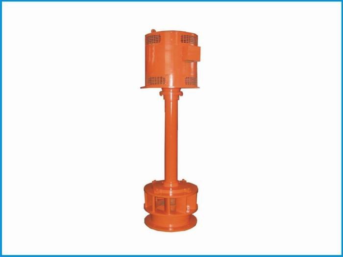 30KW Micro Power Plant Kaplan Water Turbine Generators with Stainless Steel Runner