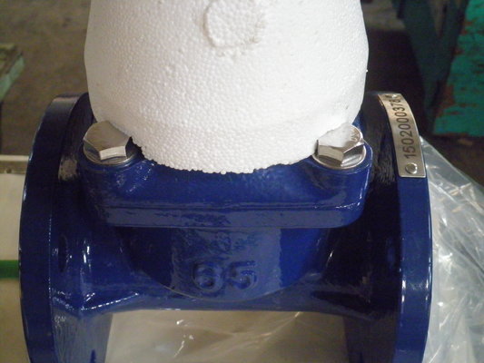Detachable Mechanical Woltman Magnetic Water Meter 65mm With Iron Cast Body