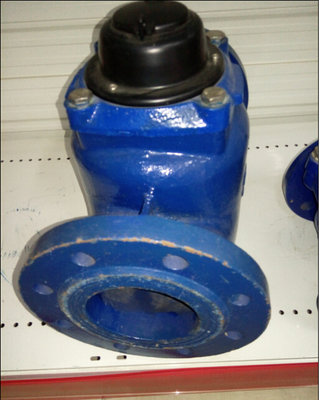 100 Mm Removable Element Bulk Water Meter For Cold / Hot Water Magnet Drive