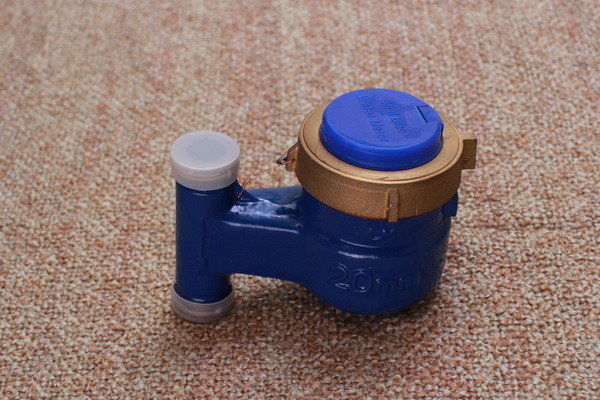DN20mm Multi Jet Wet Type Water Meter With Iron Body Vertical Installation