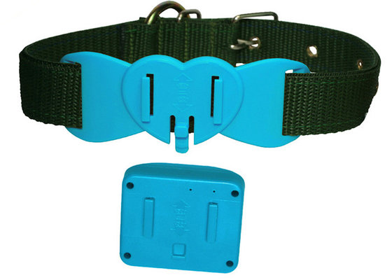 Portable Pets GPS Tracker With Web & Android IOS App , Free Platform Cat  / Dog Dog Tracking Collar