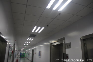 Chutian Dragon Co., Ltd.,