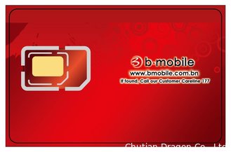 China GSM 2G 3G CDMA Service Telecom SIM Card Contact Interface 32K - 96K Native supplier