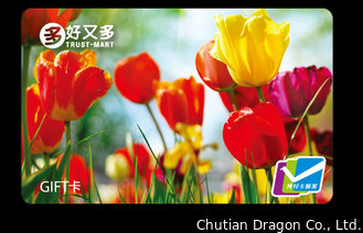 China Magnetic Swipe Cards  / Magstripe Plastic Gift Cards Printed by Haidelburg Technology supplier