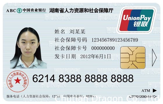 ISO Standard Customized ID Cards with High Printng Technology supplier