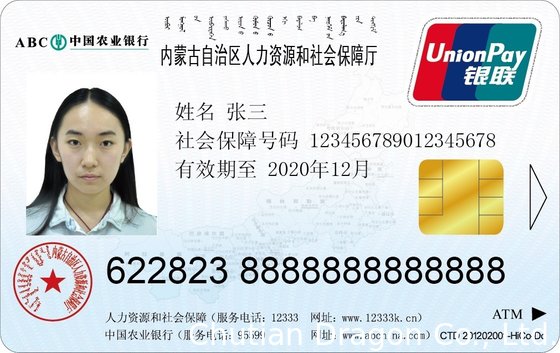 China UnionPay Custom ID Cards Social ID with Advanced IC Chip supplier
