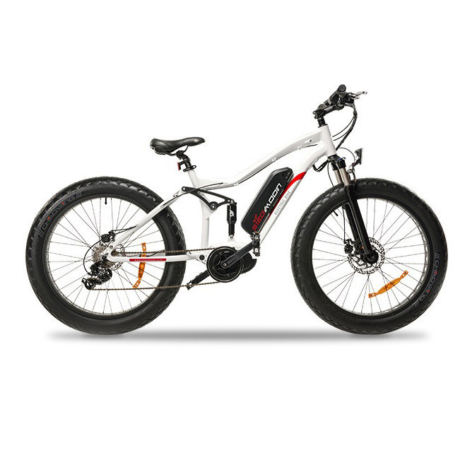 Snow 48V1000W Electric Powered Bicycle , E Fat Mountain Bike 26"  Wheel Size EN15194 Certificated