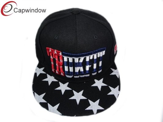Cool 3D Logo Snapback Baseball Caps / minor league baseball caps