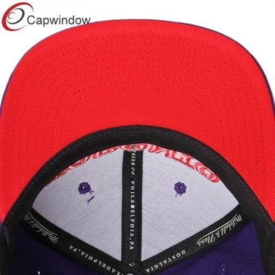 Purple Toronto Raptors Hardwood Classics Title Custom Strapback Hats / Snapback Hat