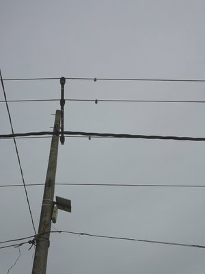 Overhead line fault locator system