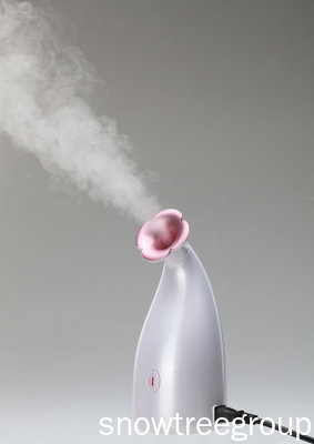 Nano ionic Facial steamer