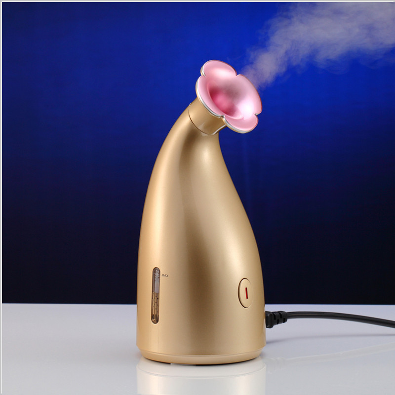 Nano ionic Facial steamer