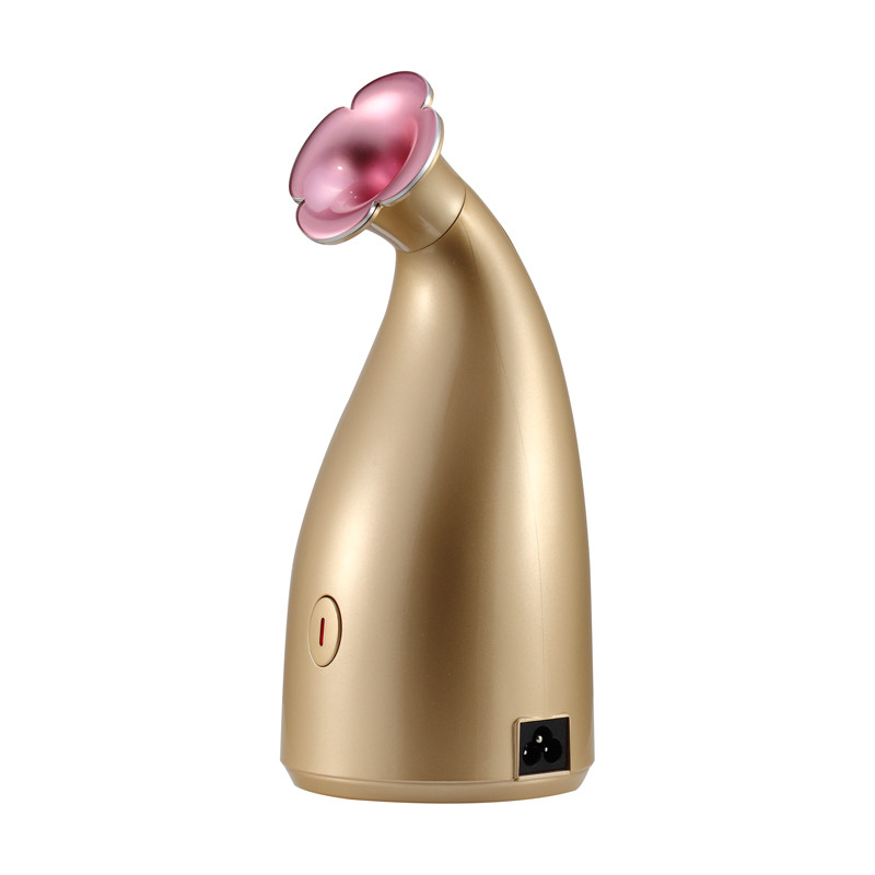 Nano ionic Facial steamer