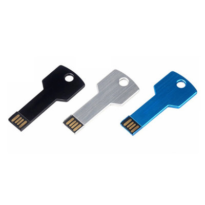 Cheap Key Shape Metal Pen Drive 2Gb USB flash drive for Corporate Promotional gifts supplier