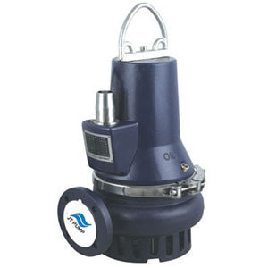 Cast Iron IP68 WQH Sewage Water Pump for Carrying Slurry , Mortar
