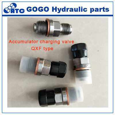 Charging Hydraulic Pressure Accumulator Nominal Diameter 5mm ASME type supplier