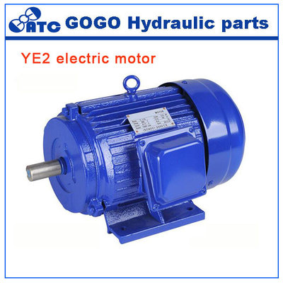 YE2 series three phase asychronoous ac induction electric motor 4 pole cast iron supplier