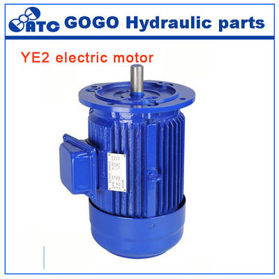 YE2 series three phase asychronoous ac induction electric motor 4 pole cast iron supplier