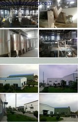 Hongkong Solomon International Trade Group Co., Limited