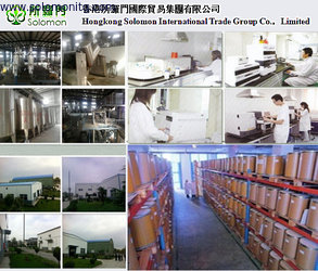 Hongkong Solomon International Trade Group Co., Limited