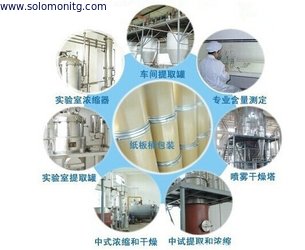 Hongkong Solomon International Trade Group Co., Limited