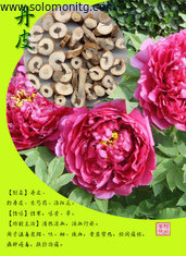 Hot Sales 98% paeoniflorin paeonia lactiflora root extract in stock