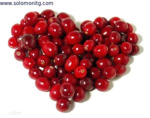 high quality cranberry fruit powder sample free--Cranberry juice