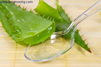 Top Quality 10:1 aloe vera extract powder,Aloe barbadensis Miller, Aloe vera L.