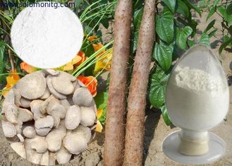 Pure  Wild Yam Extract Dioscorea Opposita Thunb. Herb Extract -Dioscorea opposita Thunb.
