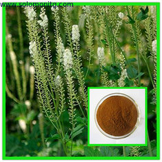 Small Package Available 2.5%, 5% Triterpene glycosides HPLC Brown Powder Black Cohosh