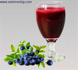 Natual GMO Free 25% Anthocyanosides Violet Fine Powder Vaccinium Myrtillus Extract